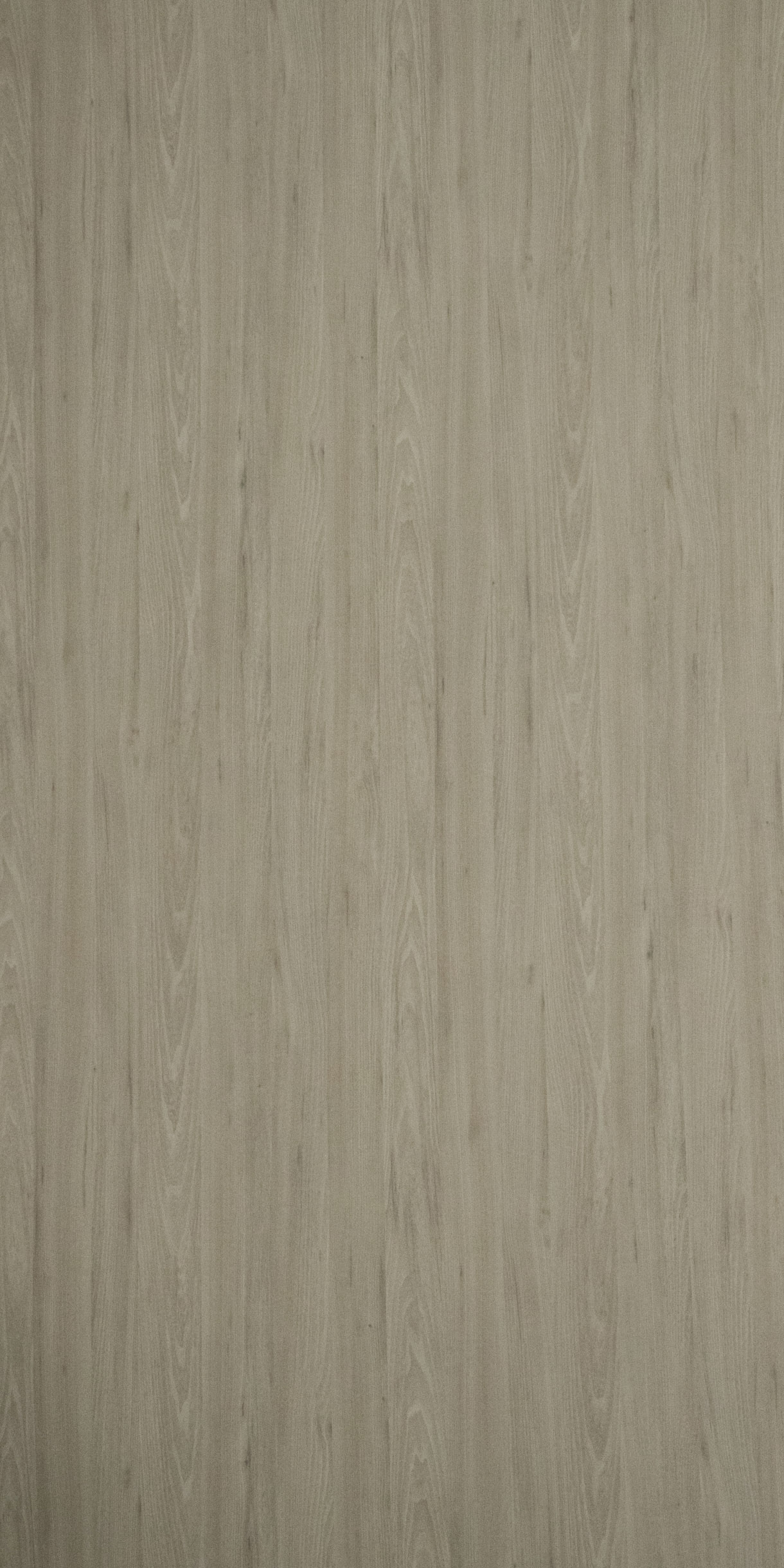 WL3231H - Light Carillo Elm - Surfacelab